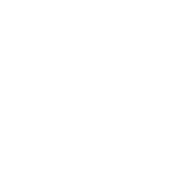 The History of AIA - AKMA